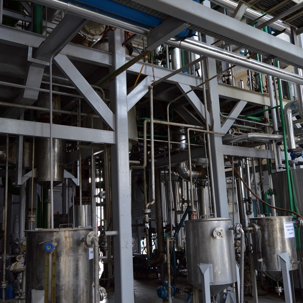 Gallery – Union Chemicals Factory LLC